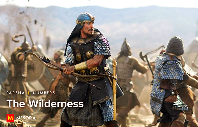 Home — Judaism & Torah Study: MESORA.org