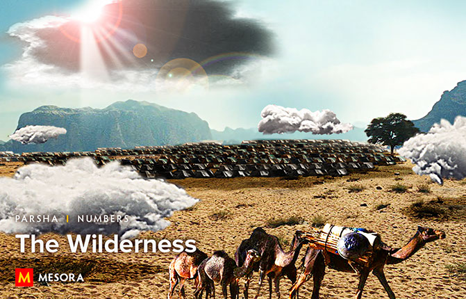 Home — Judaism & Torah Study: MESORA.org