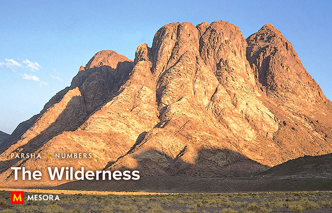 Home — Judaism & Torah Study: MESORA.org