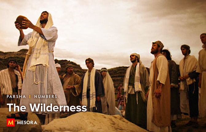 Home — Judaism & Torah Study: MESORA.org