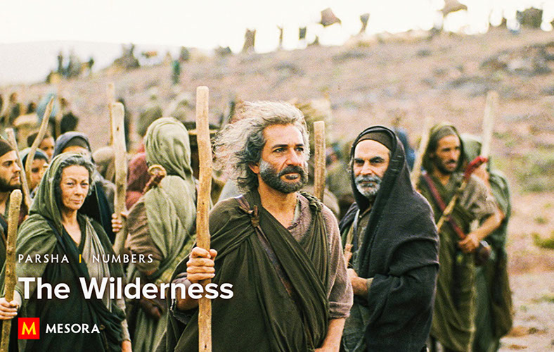 Home — Judaism & Torah Study: MESORA.org