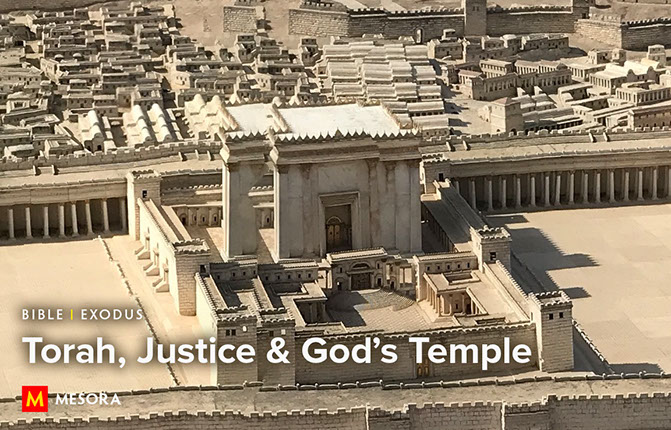 Home — Judaism & Torah Study: MESORA.org