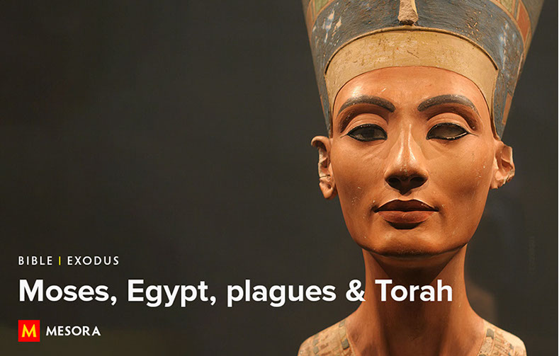 Home — Judaism & Torah Study: MESORA.org