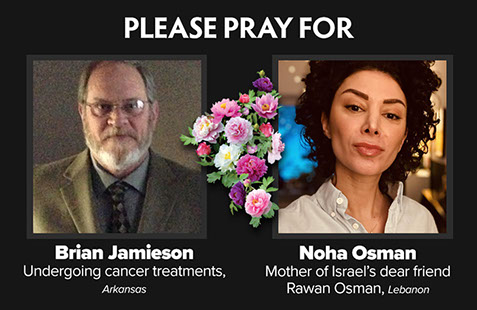 Home — Judaism & Torah Study: MESORA.org